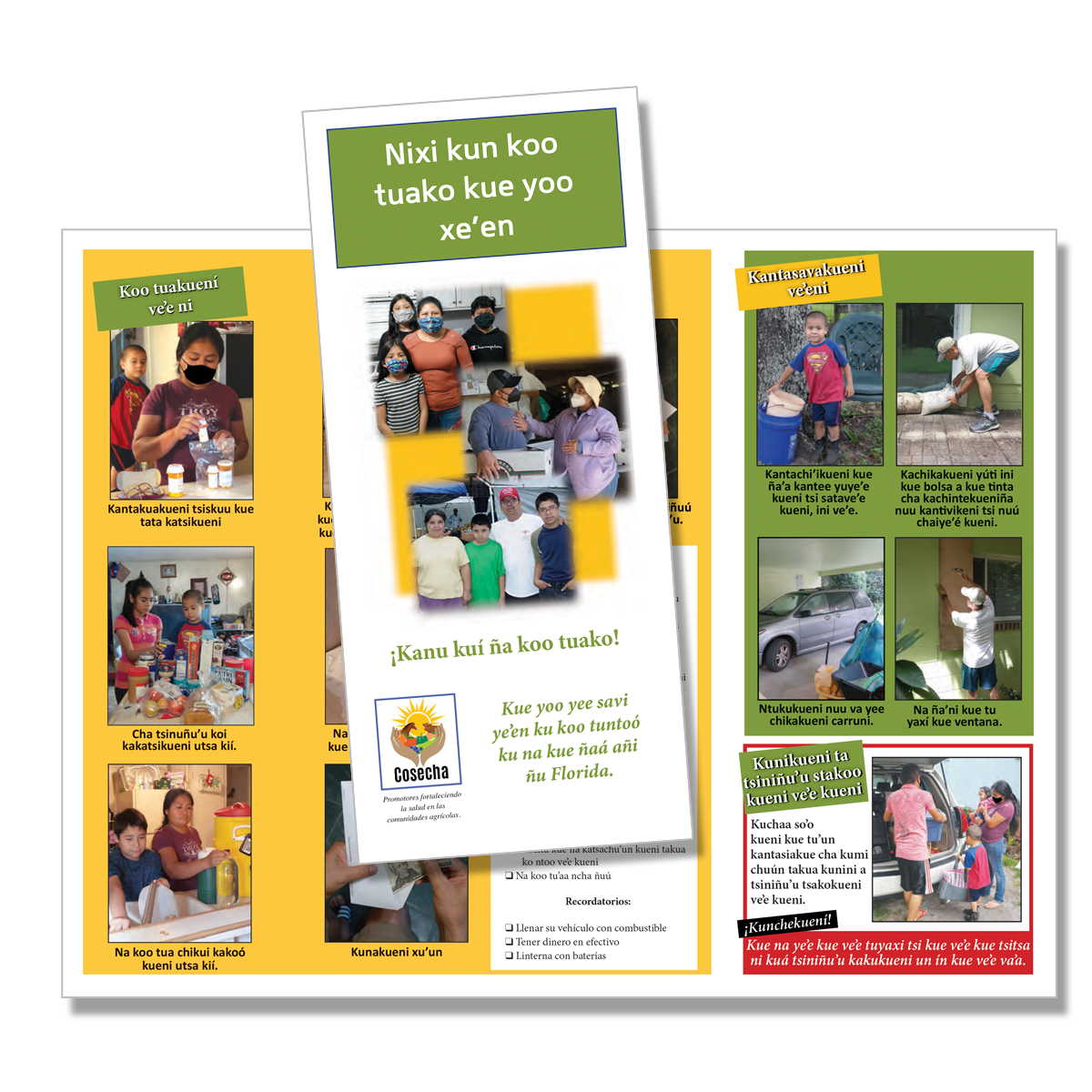 Hurricane Preparation Tri-fold Brochure